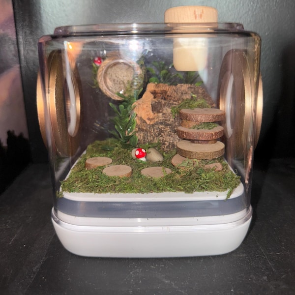 Jumping Spider Enclosure 5x5x9 Spider House, Spider Tank, Spider ...