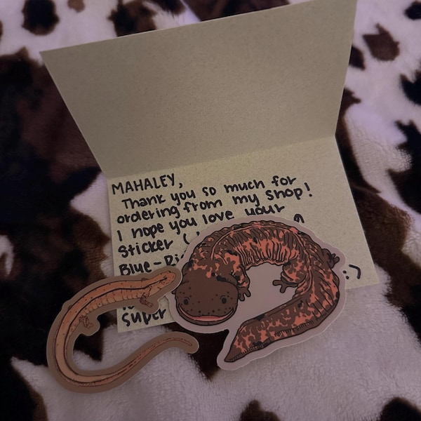 Eastern Hellbender Salamander Vinyl Dye-cut Sticker for Water Bottle ...