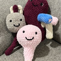 Crochet Anatomical Stomach- PDF PATTERN | Crochet Anatomy, Body Parts ...