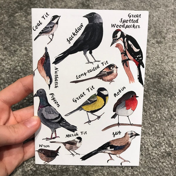 A6 Bird Notebook With Printed Pen and Ink Illustrations by Alice Draws ...