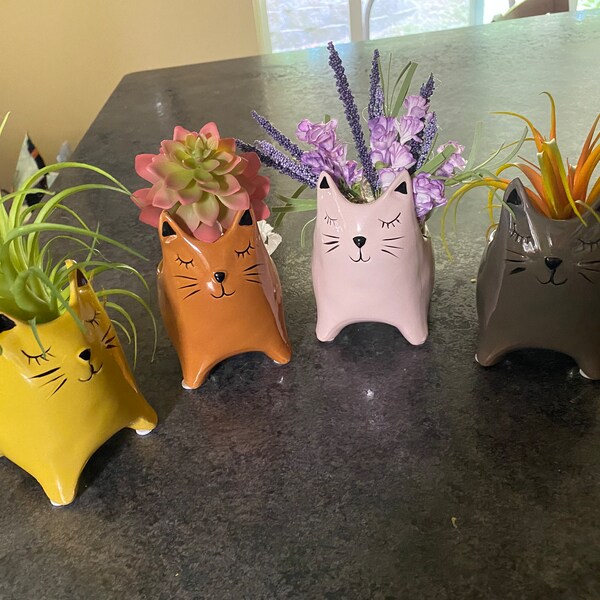 Color Cats Ceramic Planter, Happy Kitty Flower Pot, Feline Plant Holder ...