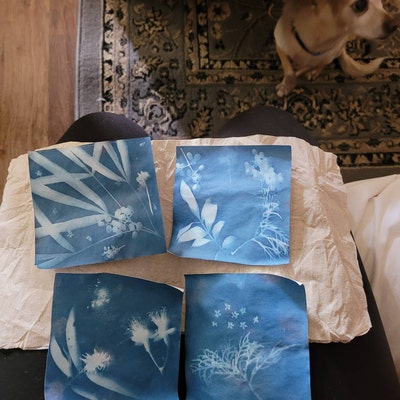 DIY Kit, Sunprints Cyanotype Photo Paper Kit 4x4 Square Sheets - Etsy