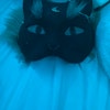 Therian Cat Mask - Moon & Stars - Etsy