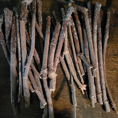 5 Wild Geraniums Plants Cranesbill Geranium Maculatum Organic Bare Root ...