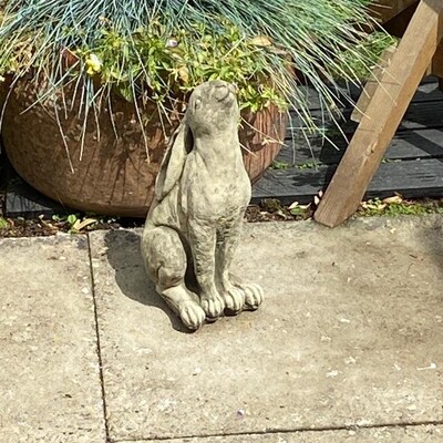 Stone Garden Moon Gazing Hare Ornament - Etsy UK