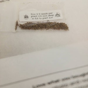 USA SELLER Optima Lettuce 200 Seeds HEIRLOOM lactuca Sativa - Etsy