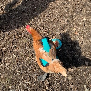 TURKEY SADDLE Adjustable Stag Protector Turkey Apron | Etsy