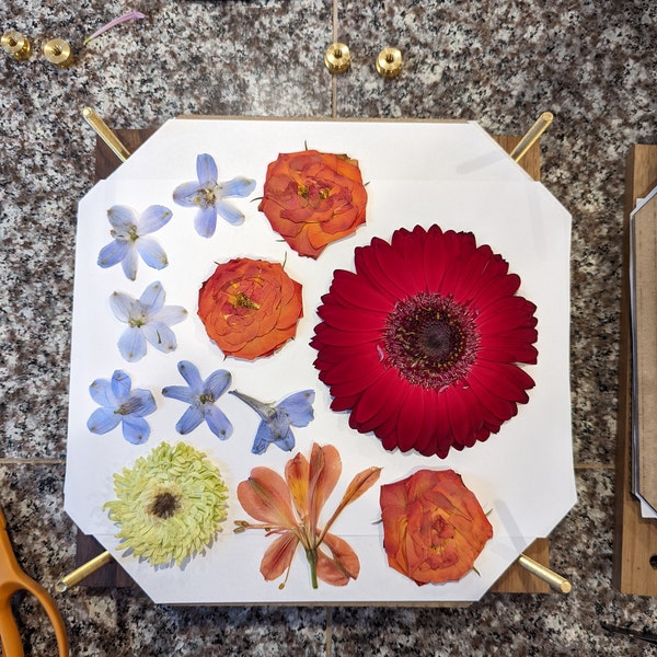 Botany Board Game: Victorian Flower Hunting, Vintage Artwork - Etsy