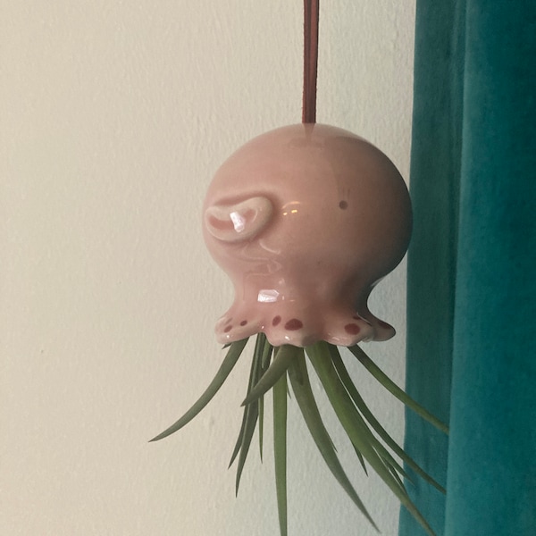Jellyfish Hanging Planter. A Cute Air Planter Jellyfish Shaped to Hold ...