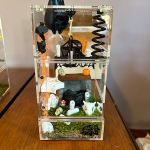 JC Decorated Hexagon Enclosures - Etsy