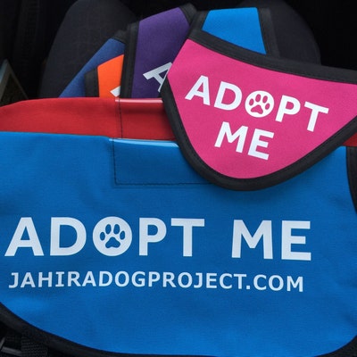 5-pack ADOPT ME Bandana Scarf for Rescue Dogs - Etsy