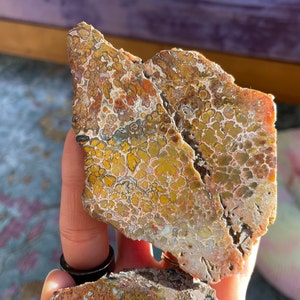 Orange Moss Agate Slabs, Agate Slabs for Lapidary, Metaphysical ...
