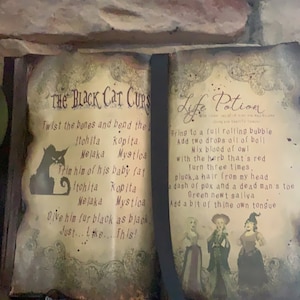 Black Cat Curse and Life Potion Spell Book, Hocus Pocus Inspired - Etsy