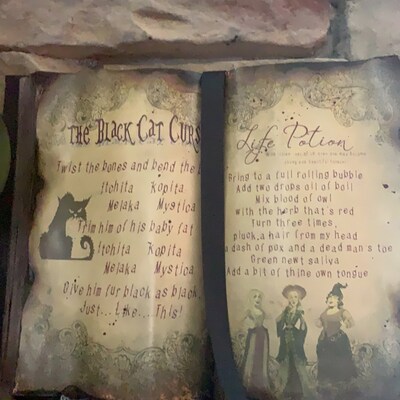 Black Cat Curse and Life Potion Spell Book, Hocus Pocus Inspired - Etsy