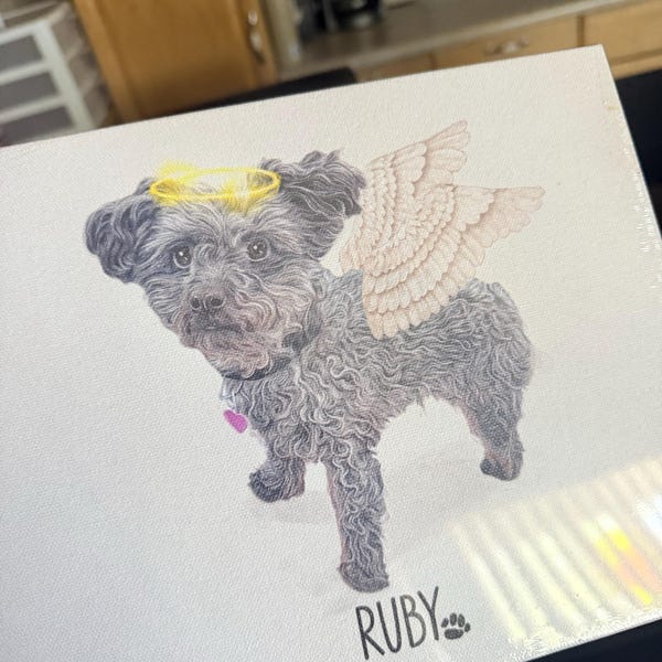 Custom Memorial Pet Drawing, Pet Portrait From Photo, Painting ...