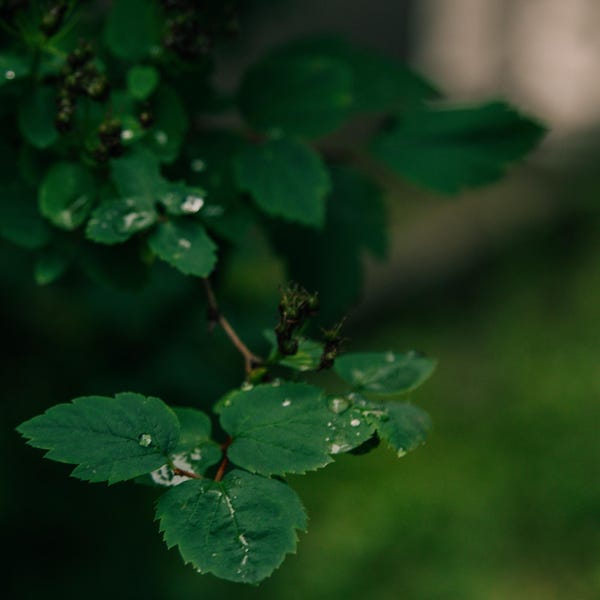 20 VINTAGE Lightroom Presets. Desktop and Mobile. 20 Different Presets ...