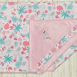 Patriotic Minky Kit Home of the Brave Blanket Kit Shannon Borderline ...