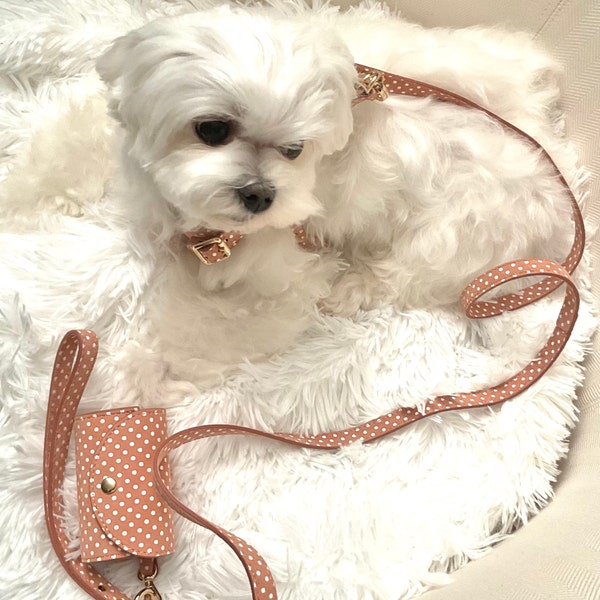 Leather Harness for Small Dogs. Chihuahua, Yorkshire Terrier, Maltese ...