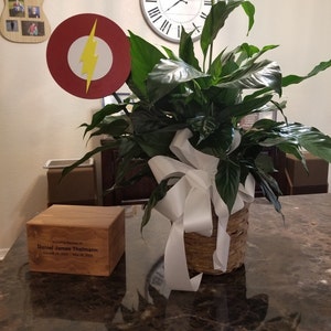 Ronan the Accuser Hammer Cosmirod Universal Weapon - Etsy