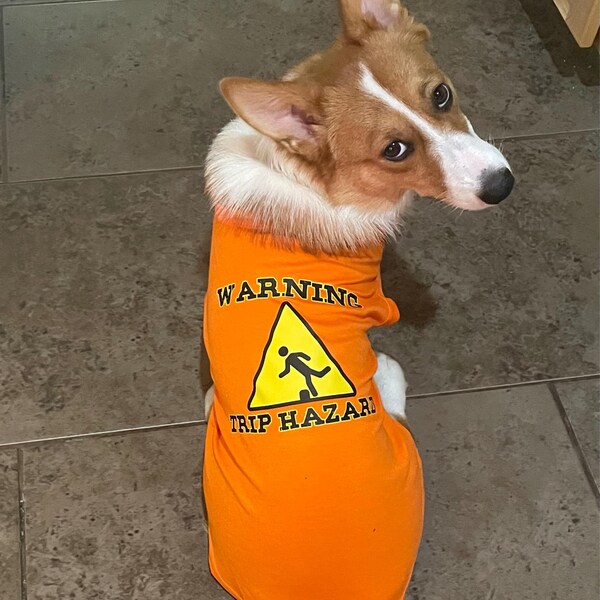 Customizable Pet Shirt: Create a Unique Look for Your Pet Personalized ...