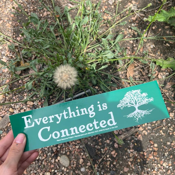 Environmental Bumper Sticker - Everything is Connected - Bumper Sticker ...