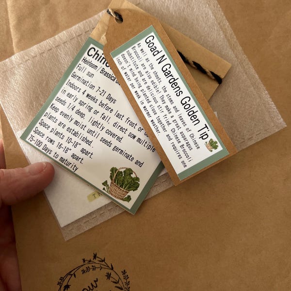 Firecracker Chili Pepper Seeds, Edible Ornamental Pepper, Heirloom Hot ...