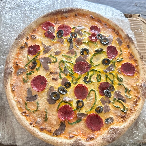 Realistic Fake Salmon Fish Replica: Restaurant Display Prop - Etsy