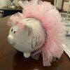 Personalized Light Pink Piggy Bank,pink Tutu,piggy Banks for Girls ...