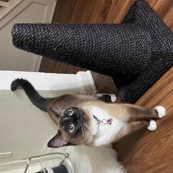 Cone Cat Scratching Post - Etsy