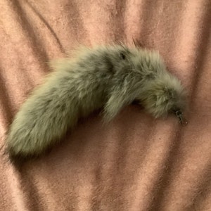 Coyote Pelt Fur Mantle With Black Deerskin - Etsy