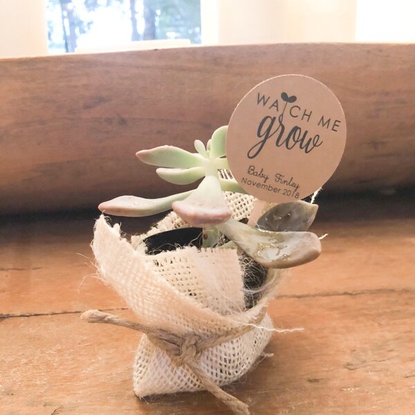 20 Custom Watch Me Grow Tags,printed Watch Me Grow Tags,watch Me Grow ...