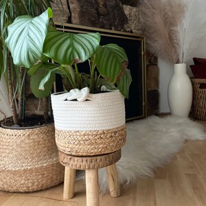 Mango Wood Plant Stand From India Handmade - Etsy