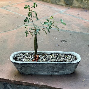 6 Inch Geode Pot Concrete Pot Hand Painted Pot Stone Pot Crystal Pot ...