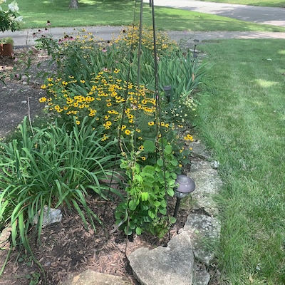 4' Garden Stakes Property Marker Driveway Marker Tree Stake WISE OAK ...