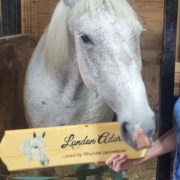 Custom Hand Painted Signs - Etsy