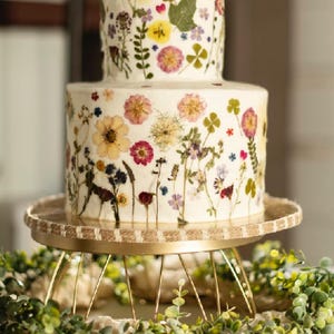 50 Pieces Food-safe Pressed Flowers Cake Decoration Flowers - Etsy