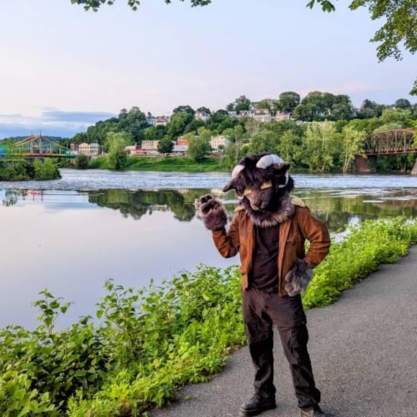 Fullsuit Fursuit Digi Legs Suit - Etsy