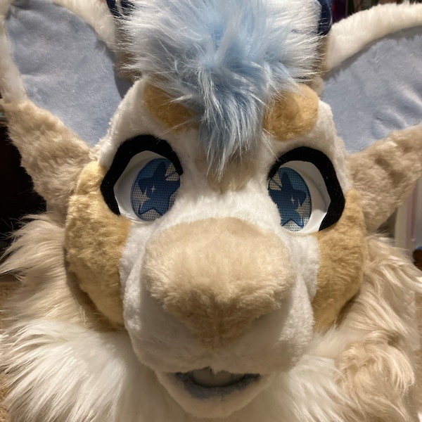 Custom Color Star Fursuit Eye Mesh - Etsy