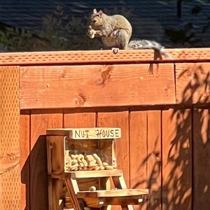 The Original Squirrel Nut House Feeder - Etsy