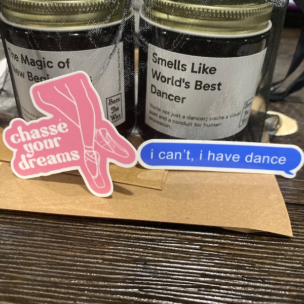 Funny Pointe Shoe Vinyl Sticker, Ballet, Pointe, Dance, Funny, Laptop ...