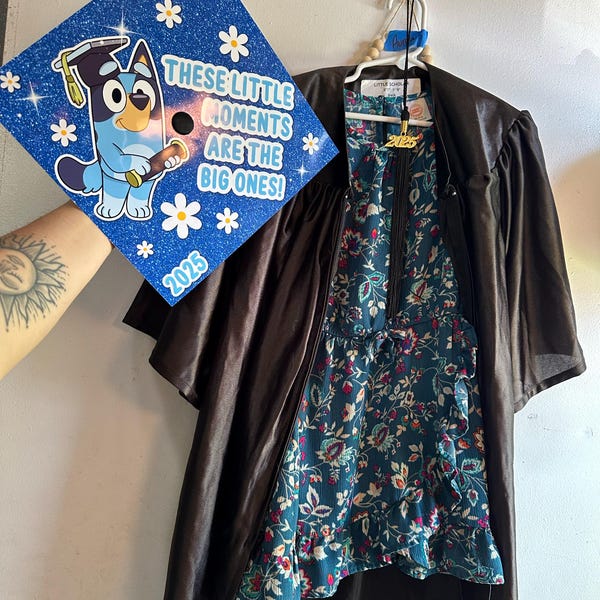 Bluey Graduation Cap Topper - Etsy