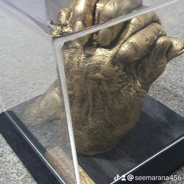 Tennis Ball Display Case With Custom Engraving - Etsy