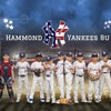 Baseball SELECT Horizontal Digital Backgrounds - Etsy