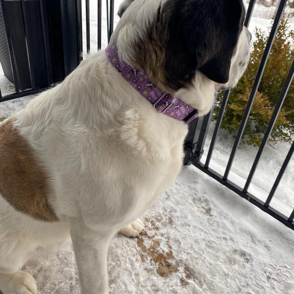 CUSTOM Hidden Prong Training Dog Collar - Real Leather - 2 Inch Wide ...