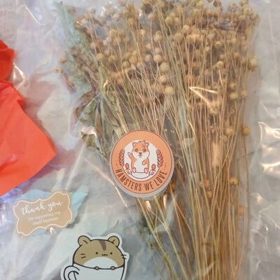 Flax Spray, Dried Flax Stems, Hamster Flax, Bird Flax, Hamster Flax ...