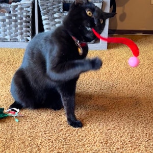 Super Bouncy Wiggly Ball Cat Toy With Wiggly Tail Fun Cat - Etsy