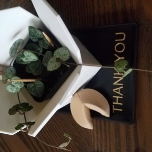 Propagation Pins Moss Pole Pins Allow a Little More Flair - Etsy