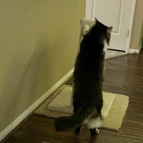 A-frame Cat Scratch Post/scratching Post/cat Scratcher/kitten/scratcher ...