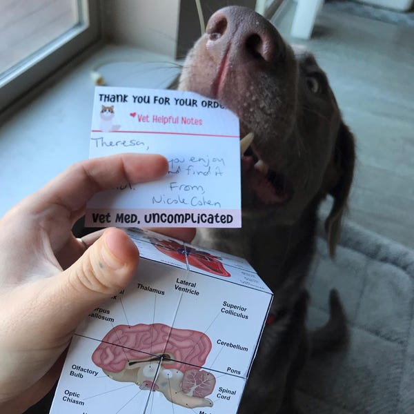 Veterinary Anesthesia Cheat Sheets Vet Tech Notes Vet Nurse Anesthesia ...