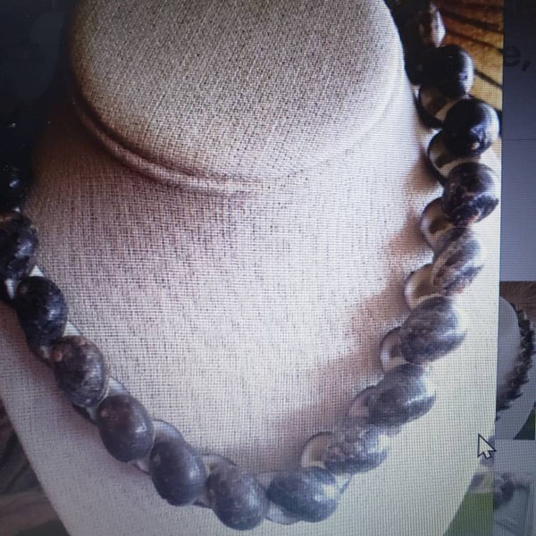 Hawaii Black Opihi Limpet Sea Shell Pack of 50 Assorted Size Limpets - Etsy